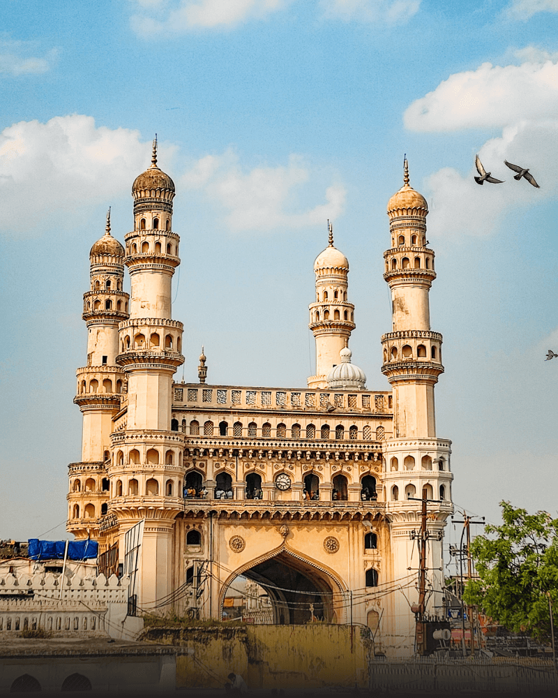 Neo Stretch | Freedom To Move