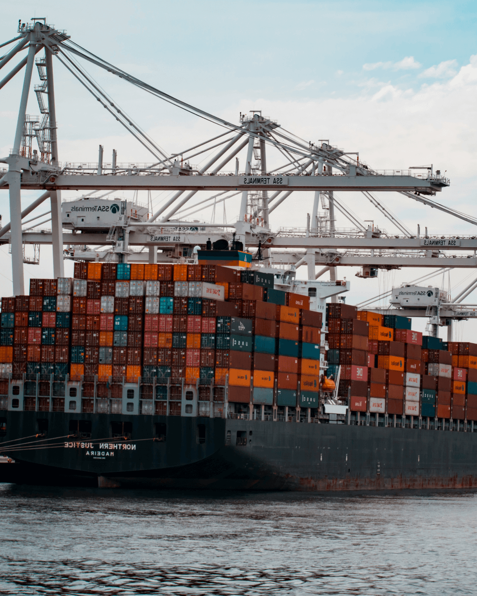 Neo Stretch | Freedom To Move